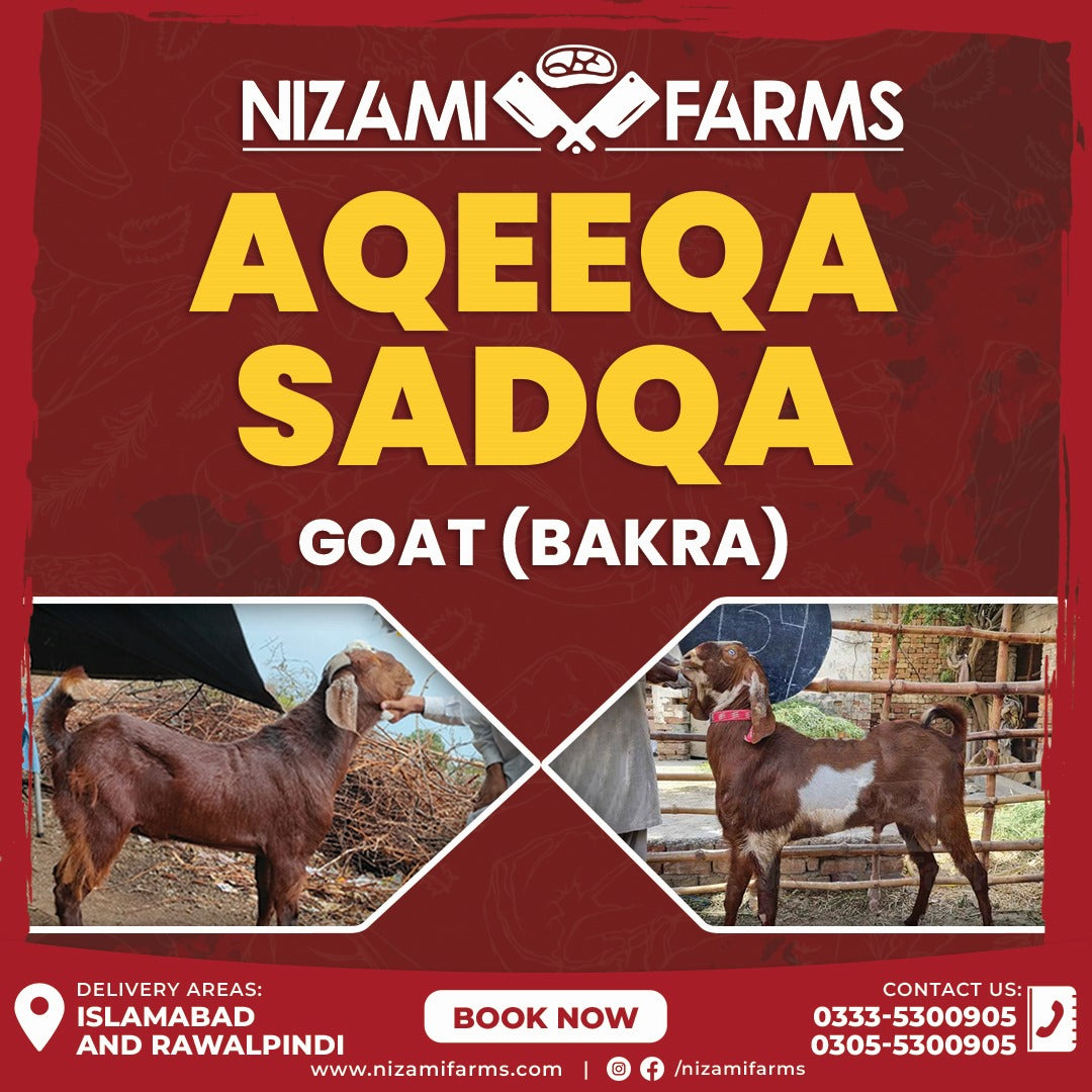 Sadqa & Aqeeqa – Nizami Farms